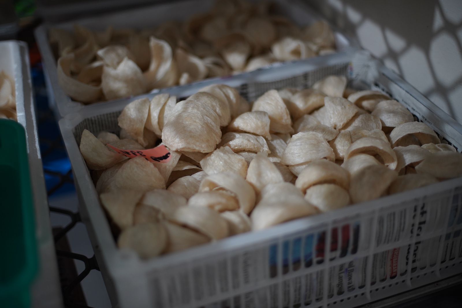 Production Process - Alba Bird Nest Indonesia