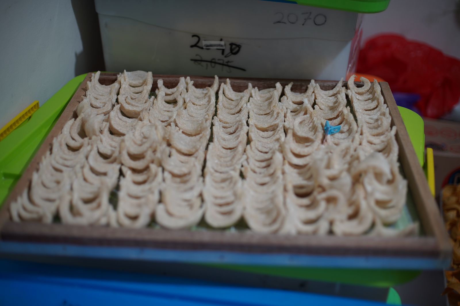 Production Process - Alba Bird Nest Indonesia